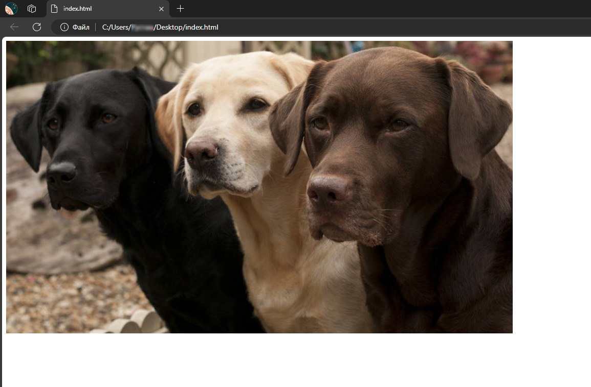 Как изменять размеры картинки в Css на Html